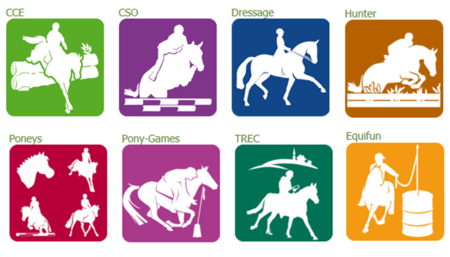 Centre Equestre de Jablines Annet - Compétition Team Poney